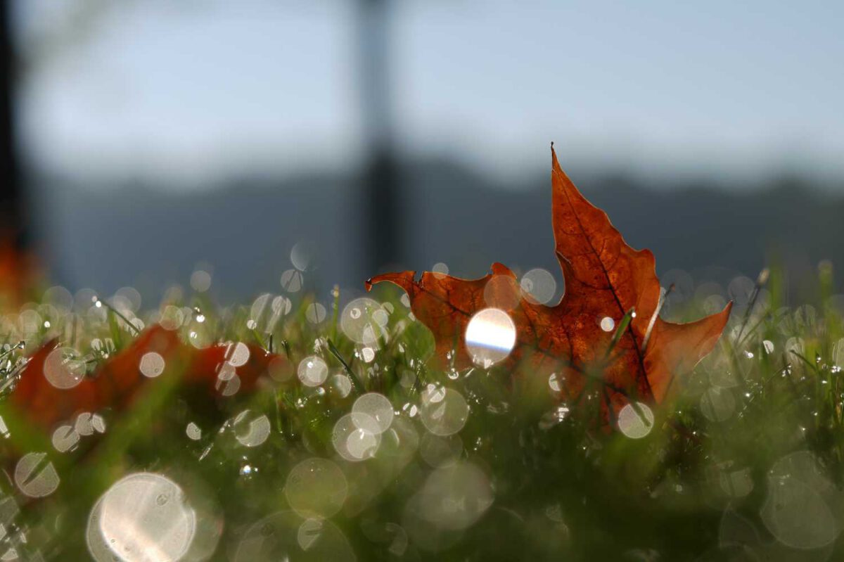 Aktuelles – Hof Peters Lunsen